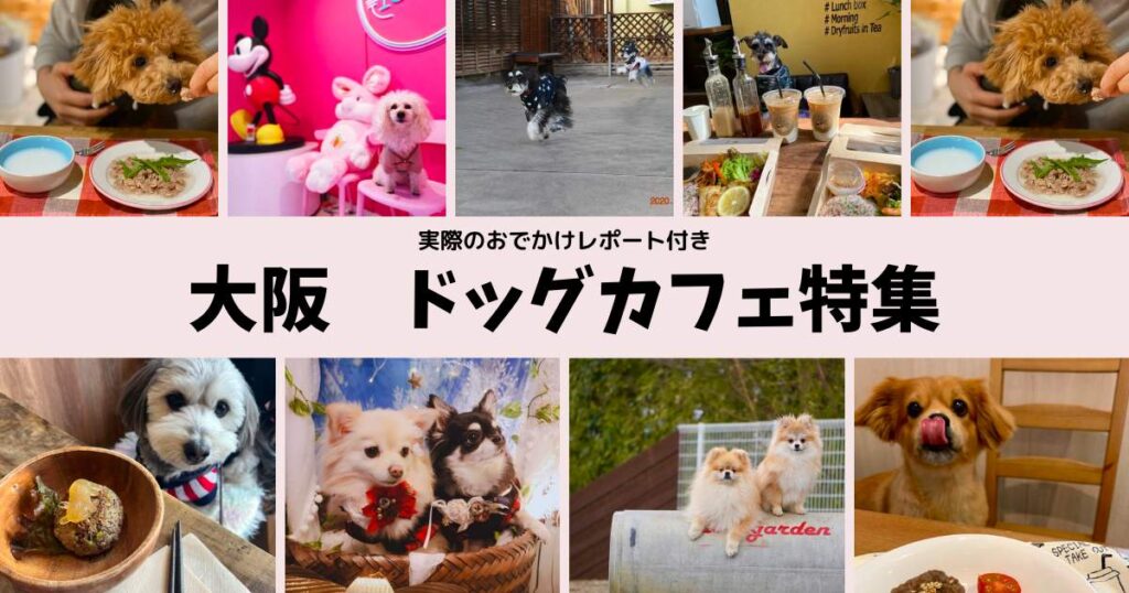 【大阪】ドッグカフェ17選（全て店内OK）大型犬OKやドッグラン付き、犬用メニューありなど実際のおでかけレポ付も紹介 – おでかけわんこ部 ...
