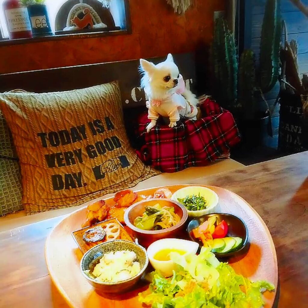 【奈良・奈良市】「Maruichi-Cafe」 – おでかけわんこ部 | 愛犬とのおでかけ情報ポータルサイト