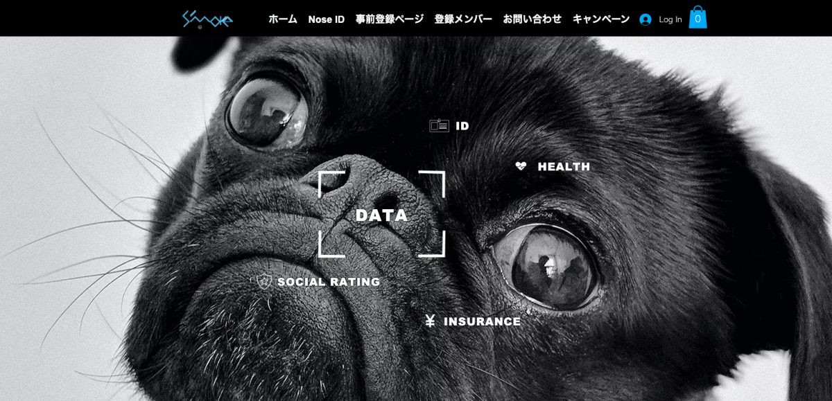 【迷子犬ゼロに】犬の鼻紋認証Nose IDアプリ開発をおでわん部は応援します | 1万匹のお鼻の写真が必要です #世界で一つだけの鼻 – お ...