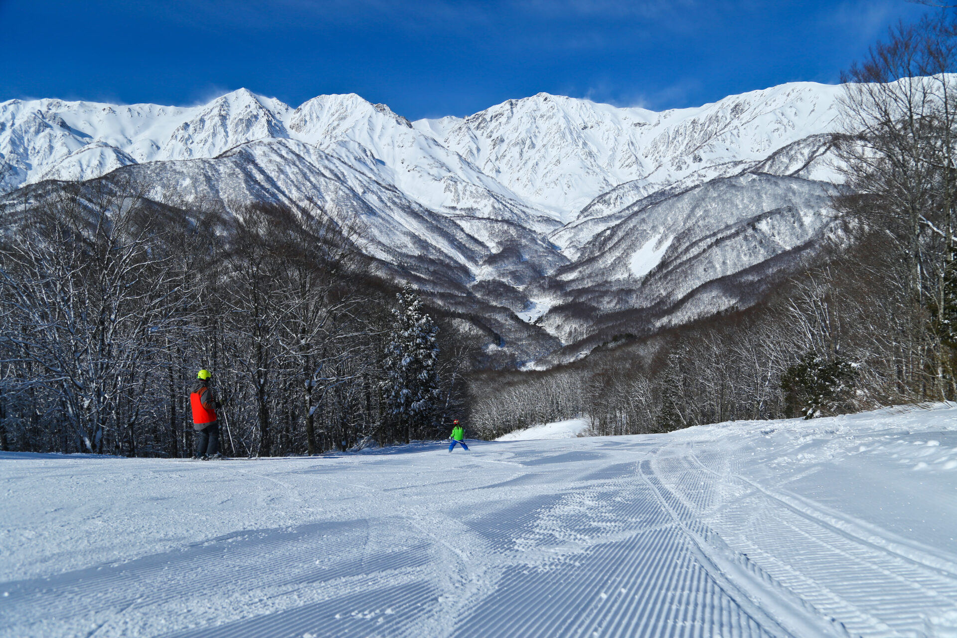 【長野】ペットゾーンがあるスノーパーク「IWATAKE WHITE PARK」冬季営業スタート！山頂には屋内席わんこOKカフェレストランも ...