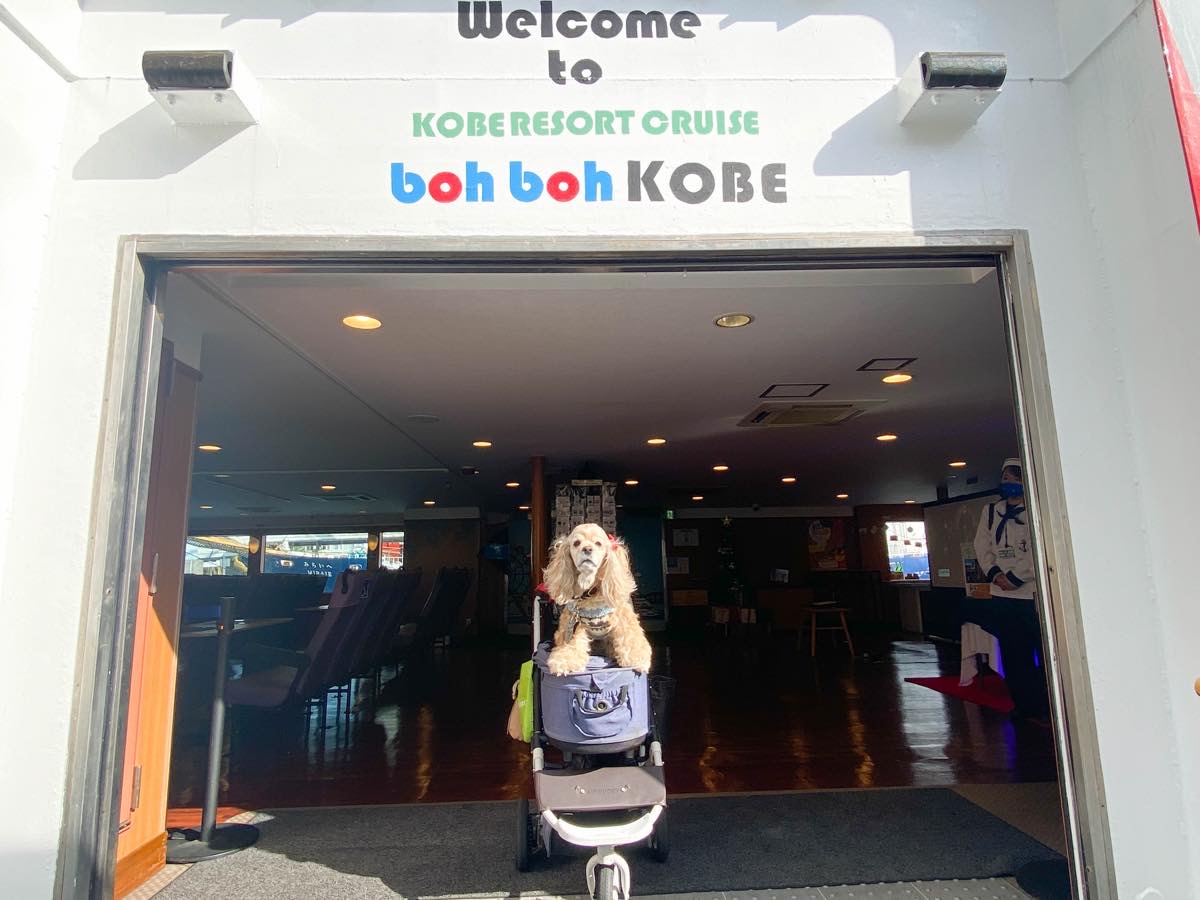 愛犬と神戸におでかけしよう！「ペットと旅するKOBE」おすすめのモデルプラン | 一緒に船旅やBBQ・イルミネーションを大満喫♪ – おでかけわんこ部 | 愛犬とのおでかけ情報ポータルサイト
