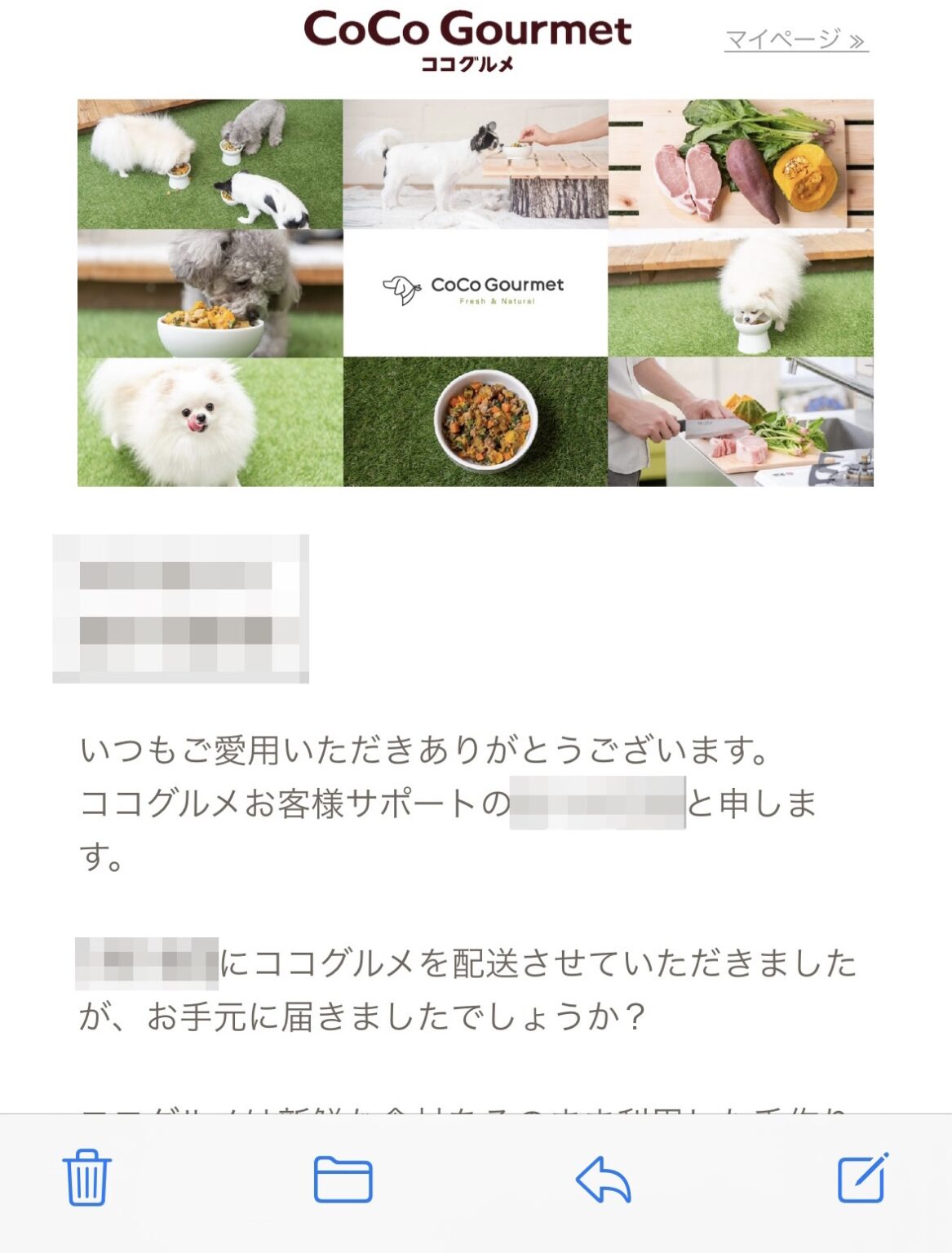 【2024】ココグルメの980円お試しモニターセットを頼んでみた！注文方法や注意点をまとめました – おでかけわんこ部 | 愛犬とのおでかけ ...