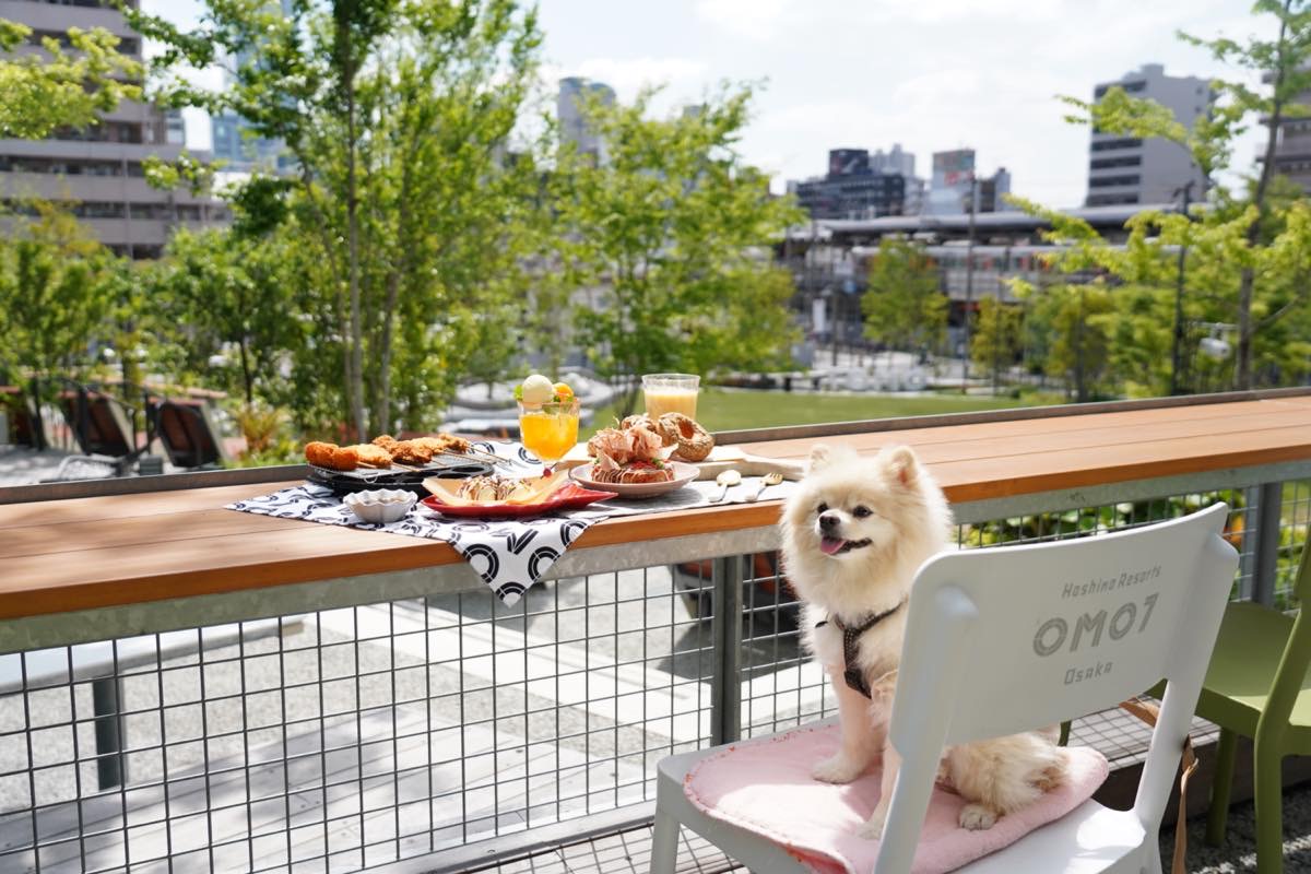 愛犬と泊まった「OMO7大阪 by 星野リゾート」が楽しすぎました！新世界の街歩きツアーや大阪グルメを満喫した笑いと感動の2日間を紹介 – おでかけわんこ部 | 愛犬とのおでかけ情報ポータルサイト