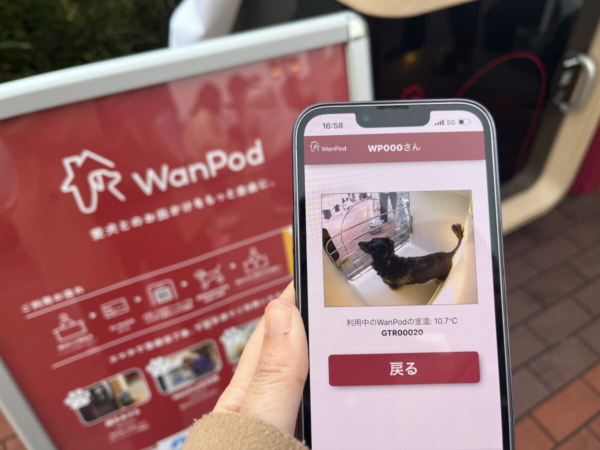 【現地レポ】愛犬専用待機室「WanPod」国内初の実証実験を独自取材！旭化成ホームズの開発担当者さんの想いとは？〜御殿場アウトレットで共同実証 ...
