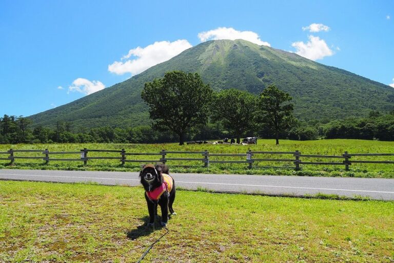 【犬とお出かけ 鳥取1泊2日モデルコース】超大型犬もOKの宿に泊まるプラン！東郷館～ハワイ海水浴場～大山まきばみるくの里～豪円山ロッジ – お ...