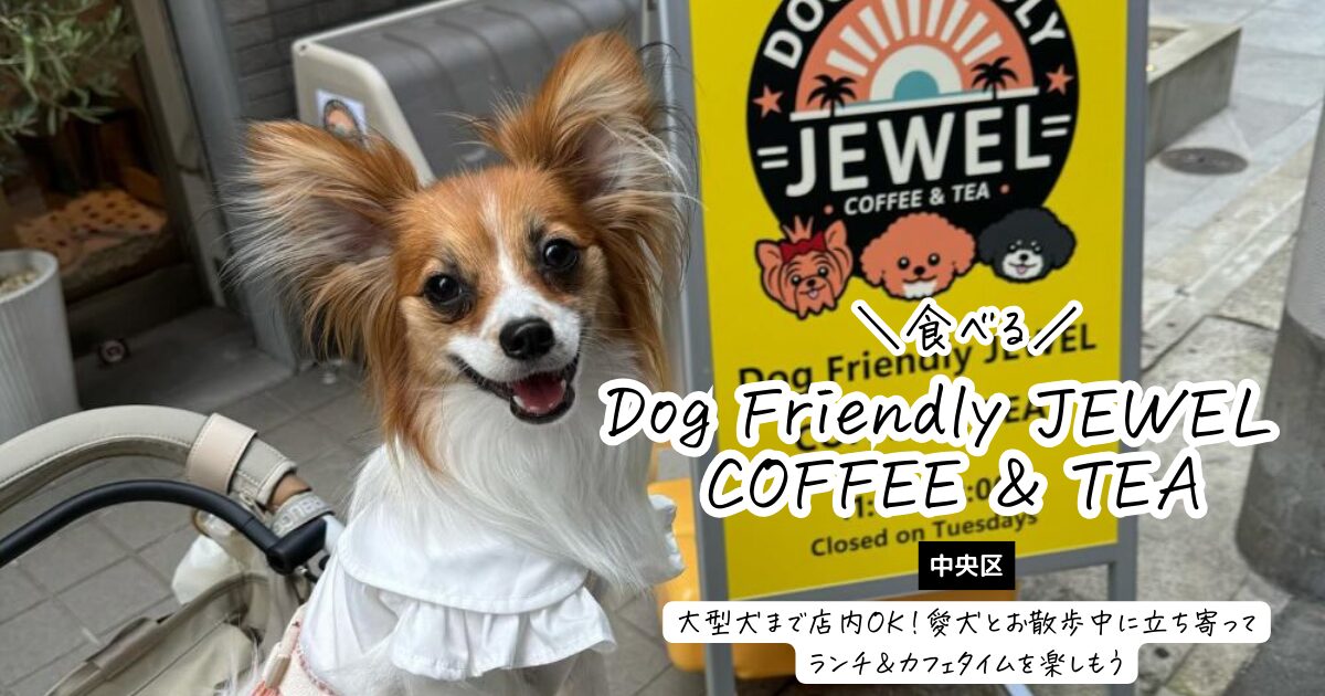 神戸 ペット可の飲食店【Dog Friendly JEWEL COFFEE & TEA】大型犬まで店内OK！愛犬とお散歩中に立ち寄ってランチ ...