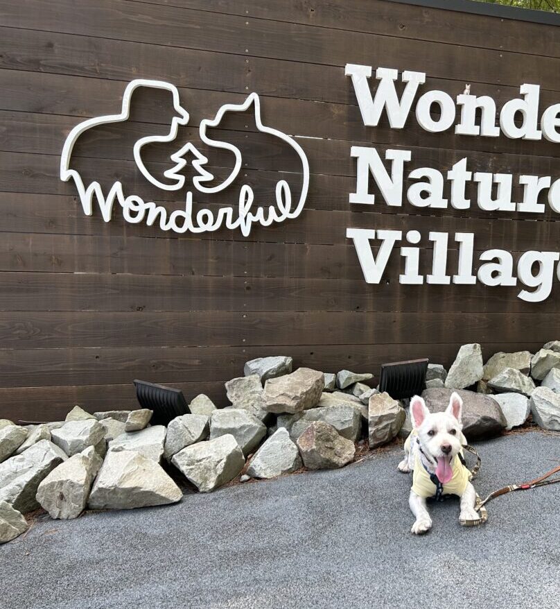 【東京・あきる野市】「Wonderful Nature Village（わんダフルネイチャーヴィレッジ）」 – おでかけわんこ部 | 愛犬との ...