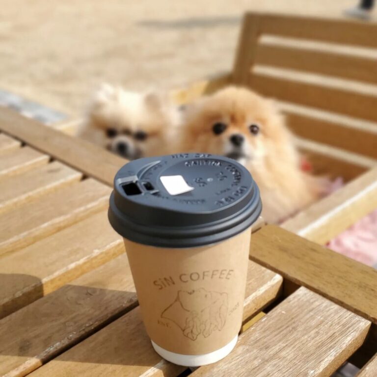 【兵庫・三田市】「SiN COFFEE CAFE & ROASTERS」 – おでかけわんこ部 | 愛犬とのおでかけ情報ポータルサイト