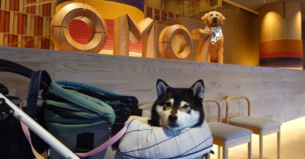 【高知・高知市】「OMO7高知 by 星野リゾート」 – おでかけわんこ部 | 愛犬とのおでかけ情報ポータルサイト