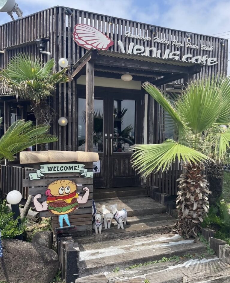 【神奈川・鎌倉市】「Venus cafe ビーナスカフェ」 – おでかけわんこ部 | 愛犬とのおでかけ情報ポータルサイト