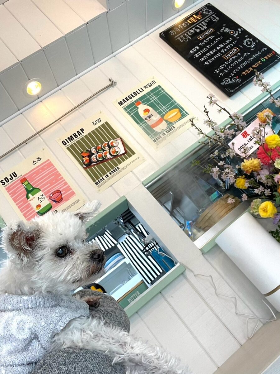 【神奈川県・平塚市】「ONE’S CAFE （원즈카페/ワンズ カフェ）」 – おでかけわんこ部 | 愛犬とのおでかけ情報ポータルサイト