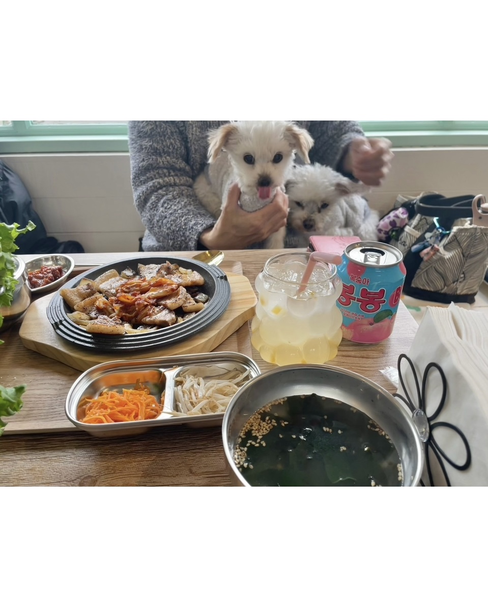 【神奈川県・平塚市】「ONE’S CAFE （원즈카페/ワンズ カフェ）」 – おでかけわんこ部 | 愛犬とのおでかけ情報ポータルサイト