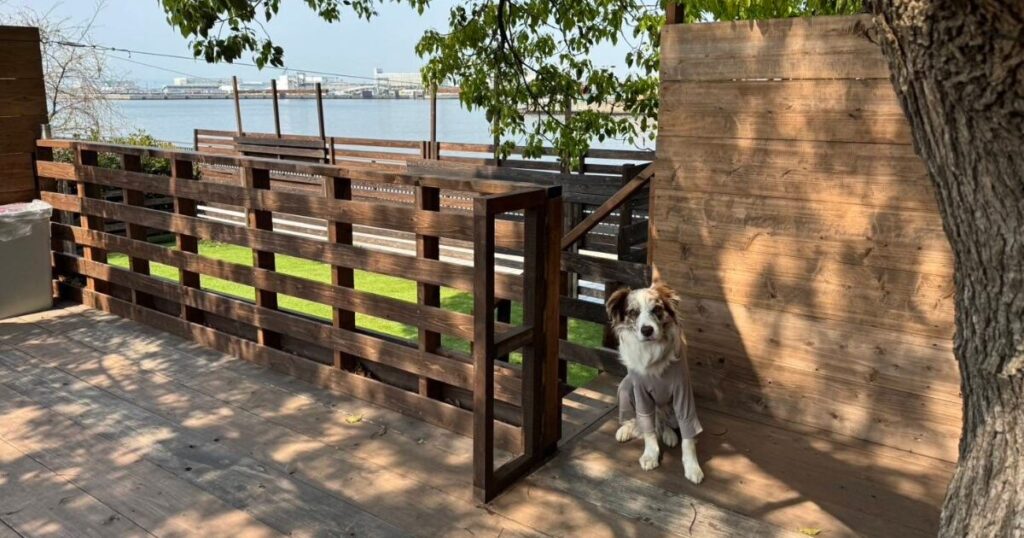 【大阪】貸切ドッグラン施設「NATURAL DOG PARK」にウッドデッキの新区画が誕生！愛犬と一緒にBBQを楽しめるプランも♪ – お ...