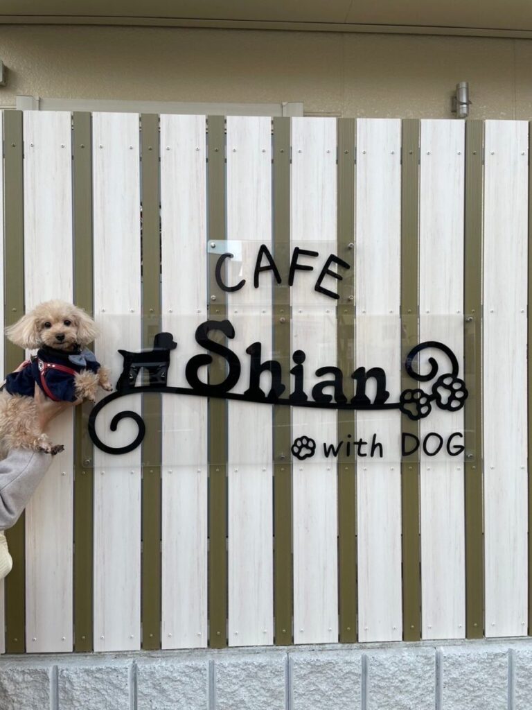 神戸 ペット可の飲食店【shian】愛犬のお誕生日祝いにも！アットホームで居心地の良いわんちゃんファーストな隠れ家カフェ – おでかけわんこ部 ...